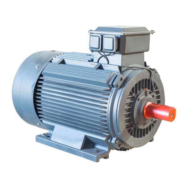 resbalón rotor herido metalúrgico 50HZ/60HZ de Ring Electric Motor de la CA 380V