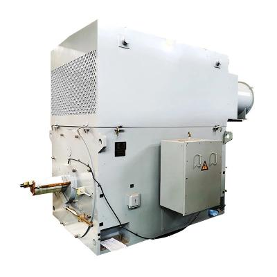 Cina La gabbia di scoiattolo ad alta tensione del motore a corrente alternata di YKK ha accluso 90KW IE3-315M-6 in vendita
