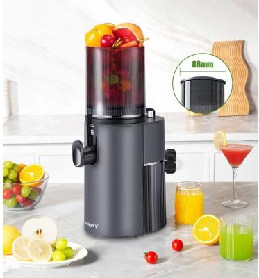 China Big Mouth Cold Press Commercial Fruit Juicer Multifunctional Electric Juicer 350W for sale