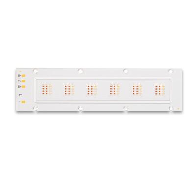 China 66W Linear COB LED Module Red+Blue+Yellow for Therapy Panels & Spectrometers for sale