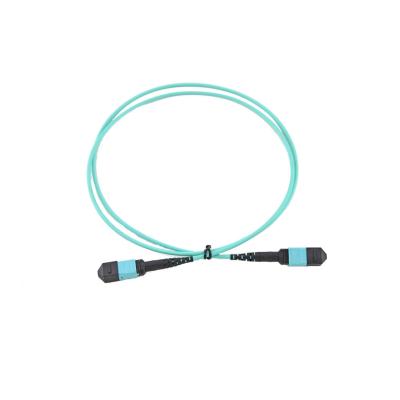 China 1 Meter MTP-MTP Fiber Optic Patch Cord 12 Cores For Computer Networks for sale
