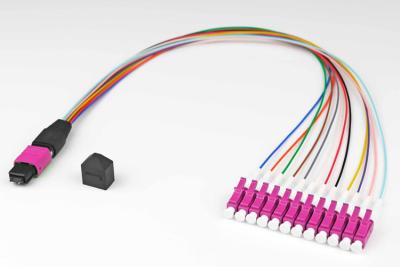 China MPO-LC OM4 Fiber Optic Patch Cord 2 Meters With Superior Exchangeability for sale