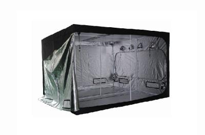 China 20×10 Feet Big Size Dark Grow Room Tent With Steel Tube And No Toxic Material for sale