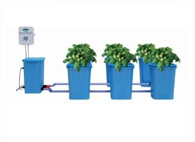 China Green Modular Hydroponic Bucket System , Home / Commercial Growth Hydroponic Accessories for sale