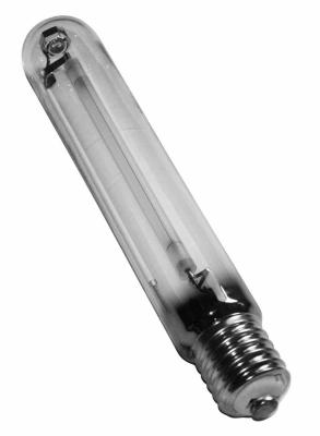 China 32000Lm Greenhouse HID 250W Grow Lights Lamp For Flowering / Budding Phase , 24000 hrs for sale