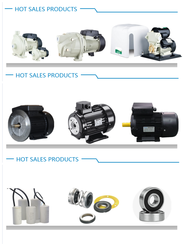 electric motor