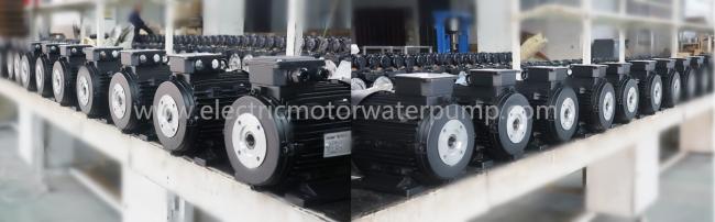 hollow shaft electric motor