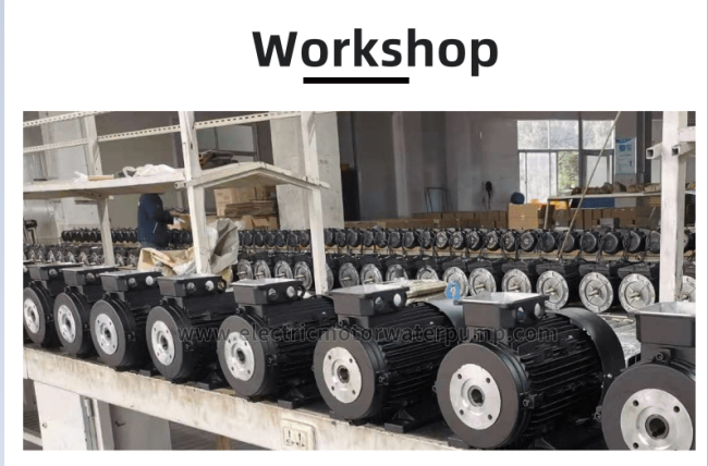hollow shaft motor