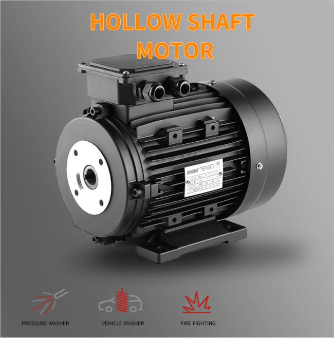 hollow shaft electric motor