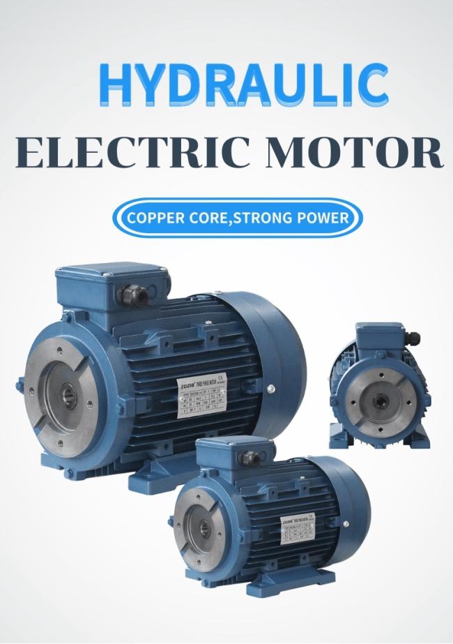 hydraulic motor