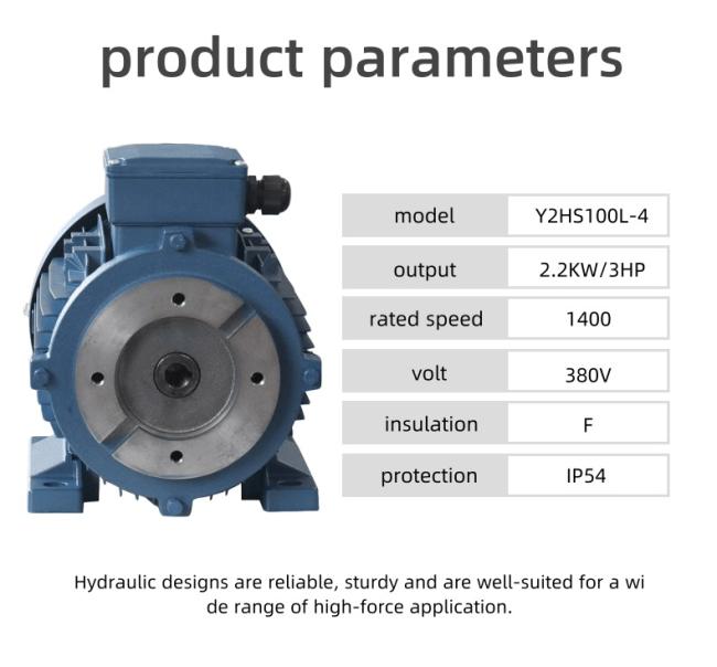 hydraulic motor