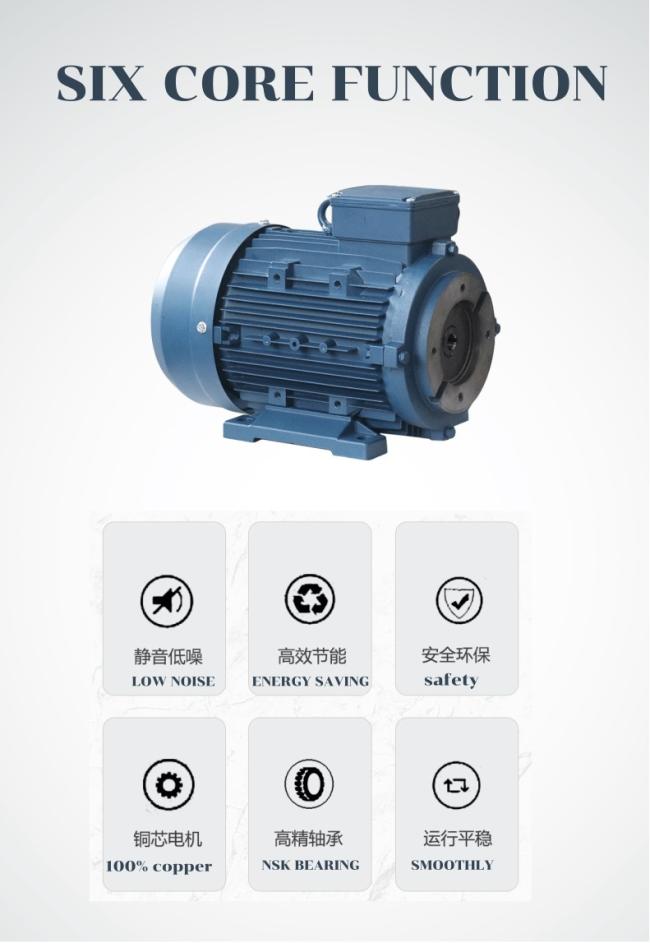 hydraulic motor