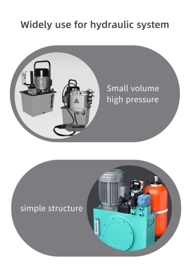 hydraulic motor