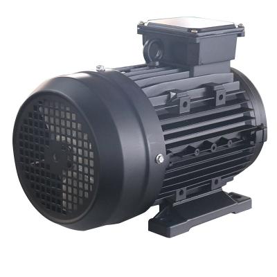 China Hydro Series Horizontal Hollow Shaft Electric Motor Portable For High Pressure Washer for sale