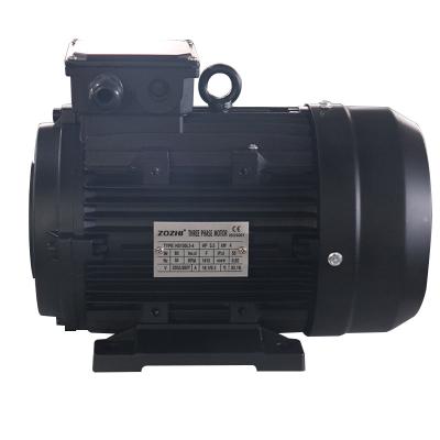 China Hydro Series Horizontal Hollow Shaft Electric Motor Portable For High Pressure Washer for sale