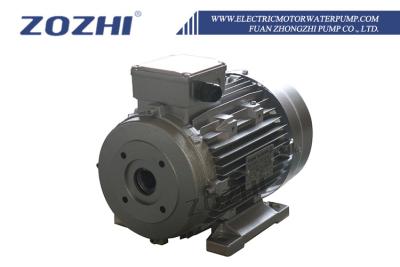 China 4kw 5.5HP High Pressure Cleaners Motor With Hollow Shaft Three Phase for sale