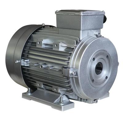 Cina Colore personalizzato Motore a albero cavo 8.8A Cool IC411 Efficienza F Classe di isolamento 1450 giri al minuto 50Hz in vendita