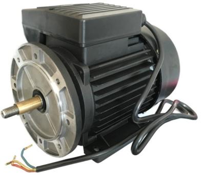 Cina Pompa idraulica abbastanza corrente del motore elettrico di CA per la piscina 50HZ/60HZ in vendita