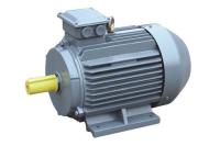 China 3 Phase 6 Pole Induction Motor With Gearbox , Three Phase Asynchronous Motor for sale