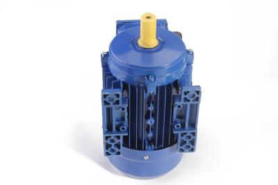 8 Poles Electric 3 Phase Induction Motor Aluminum 10 HP For Clean Machine