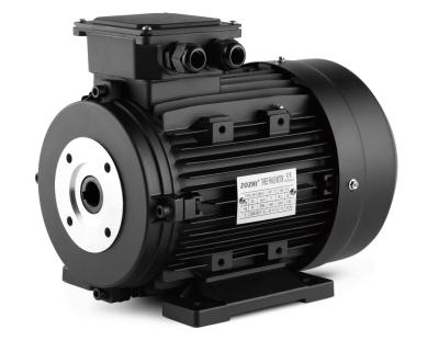 China 7.5kw 10hp Hollow Shaft Motor Three Phase Induction Motor with Low Price for sale