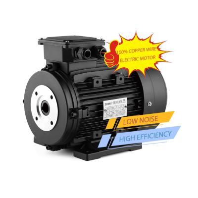 중국 조지 모터의 홀홀 샤프트 모터 제조업체 1450rpm 등급 속도와 5.5KW 등급 전력 판매용