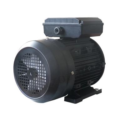 중국 IE2 효율과 IC411 냉각 방식의 7.5HP 홀스 셰프트 모터 제조 판매용