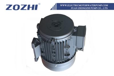 China Efficiency IE2 Hollow Shaft Motor IP55 Protection Class for Industrial Applications for sale