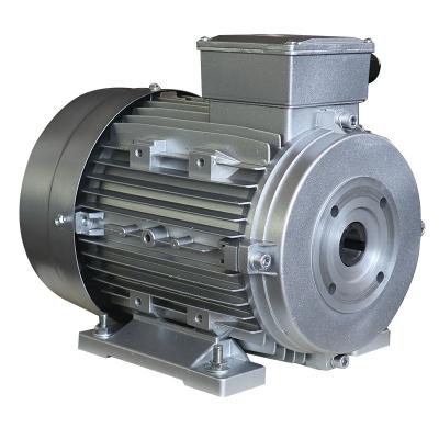China 1.5 Kg Hollow Shaft AC Motor with IP55 Enclosure Designed to Meet Rigorous Industrial Standards and Performance Criteria for sale