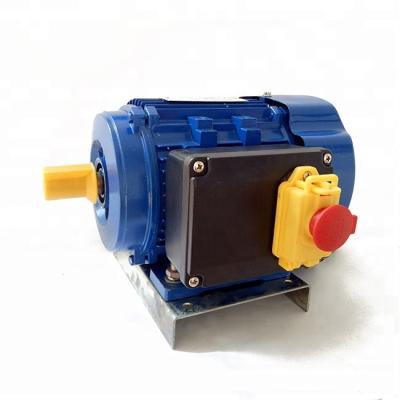 China TEFC Cooling Method 3 Phase Induction Motor Output 0.09KW 0.12HP Engineered to Support Industrial Equipment Performance for sale