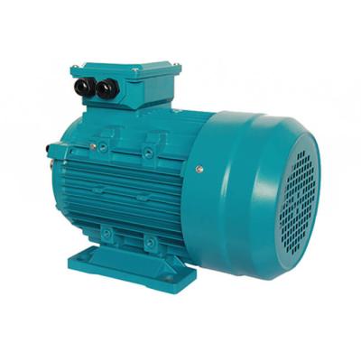 China Three-Phase High Efficiency Waterproof Flange Mounting Motor 0.55KW IE2 for sale