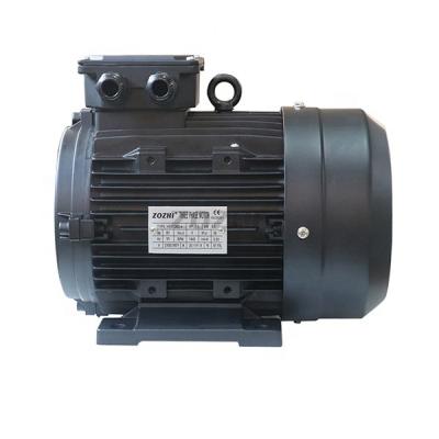 China Rated Voltage 380V Hollow Shaft Motor Foot Mounted Compatible with Standard Industrial Mounting and Automation Equipment for sale