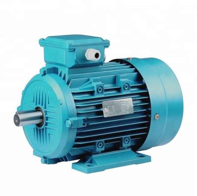 China 500 GPH Flow Rate 3 Phase Induction Motor Incorporating Totally Enclosed Protection Ball Bearings Industrial Performance for sale