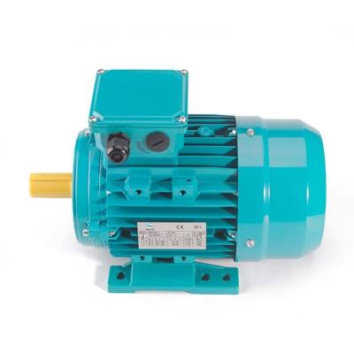 China Ball Bearings 3 Phase Induction Motor Flange Size B35 optimized for Heavy Load Handling and Stable Mechanical Performance for sale