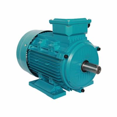 China Rated Frequency 50Hz 60Hz 3 Phase Induction Motor Designed for Above Sea Level Not Exceed 1000m With Insulation Class F Class H for sale