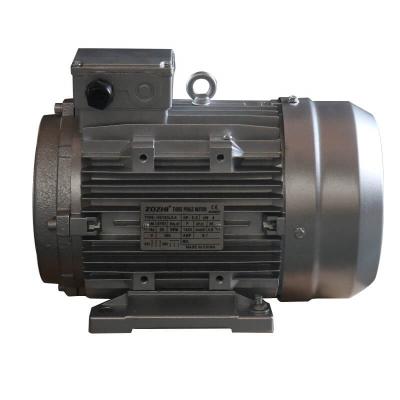 China Above Sea Level Not Exceed 1000m 3 Phase Induction Motor Featuring Roller Bearings and Aluminum Front Cover With Brass Insert Engineered for sale