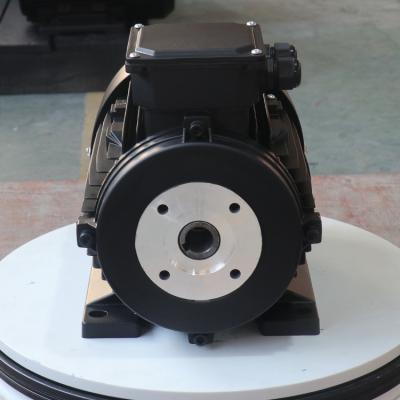 China IP55 Protection Hollow Shaft Motor Aluminum Alloy Housing Material Operating Temperature Minus 20°C To 80°C Suitable For Industrial Applications for sale