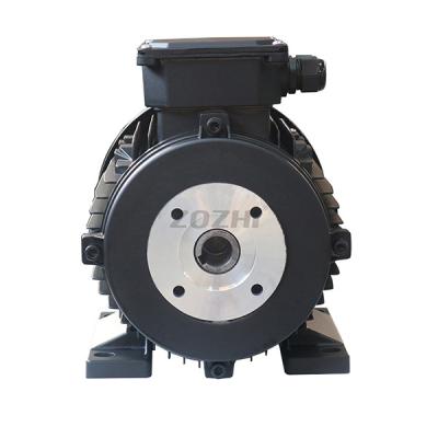 China Insulation Class F H hollow shaft AC motor customizable design focused on delivering consistent torque and energy usage for sale
