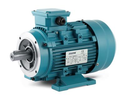 China Power Range 0.06kw to 22kw 3 Phase Induction Motor Engineered for Energy Consumption and Long Service Life in Industrial for sale
