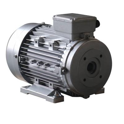 China Capacitor Running Single Phase Induction Motor Incorporating C U NSK Bearing and Speed Range 1400 RPM to 2800 RPM for Machinery for sale