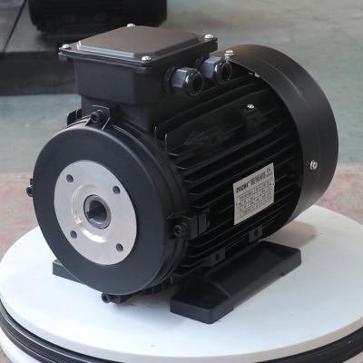 China Mounting B3 3 Phase Induction Motor Service Factor 1.0 Engineered for Industrial Equipment Requiring Stable Power Supply for sale