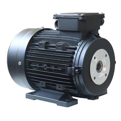 China Breakdown Torque 260 Percent 3 Phase Induction Motor Featuring 45 Steel Shaft Ideal for Industrial Machinery and Equipment for sale