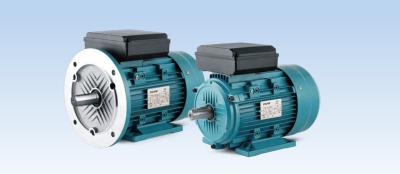 China Capacitor Running Single Phase Induction Motor Flange Mounted Rated Frequency 50Hz 60HZ Suitable for Packaging Equipment for sale