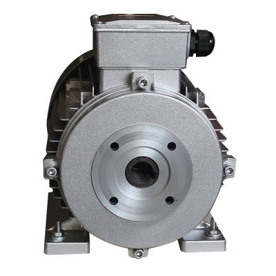 China 5.5KW Rated Power Hollow Shaft AC Motor Asynchronous Motor Designed to Meet Industrial Standards and Safety Requirements for sale