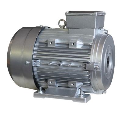 China Ambient Temperature Minus 15 to 40 Degrees Celsius AC Motor Featuring Or 6 Poles Ideal for Heavy Duty Industrial Machinery for sale