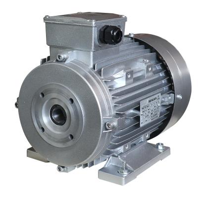 China 42 Mm Diameter Hollow Shaft AC Motor Designed for Integration into Packaging and Material Handling Systems for sale