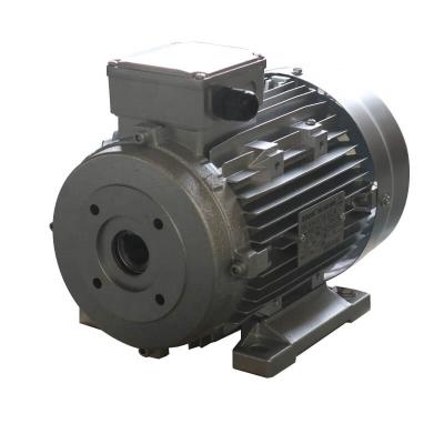 China Asynchronous Motor 3 Phase Induction Motor Featuring Service Factor 1.0 Designed for Continuous Operation in Various Industries for sale