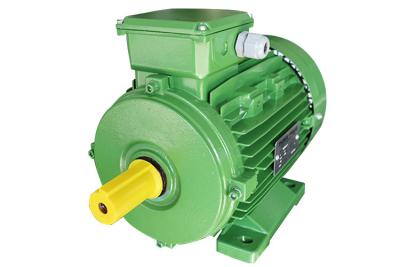 China MS100L1-4 3 Phase Induction Motor Squirrel Cage 3HP 2.2KW 400V 60HZ IE1 Efficiency for sale