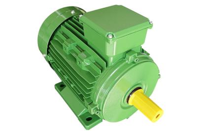 China MS100L1-4 3 Phase Induction Motor Squirrel Cage 3HP 2.2KW 400V 60HZ IE1 Efficiency for sale