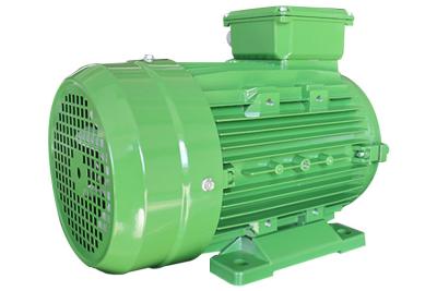 China MS100L1-4 3 Phase Induction Motor Squirrel Cage 3HP 2.2KW 400V 60HZ IE1 Efficiency for sale